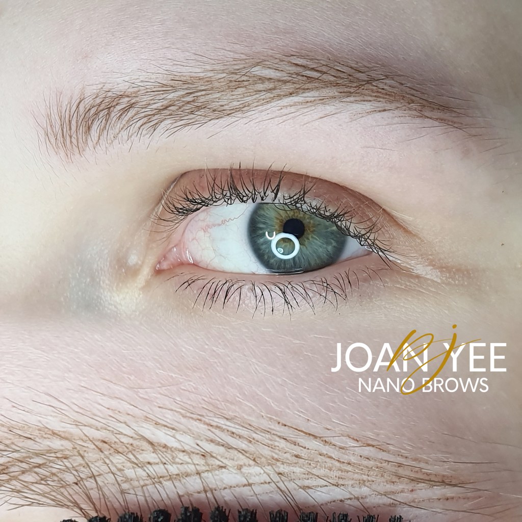 Nano Brows Online Course – Skin and Permanent Makeup Specialists